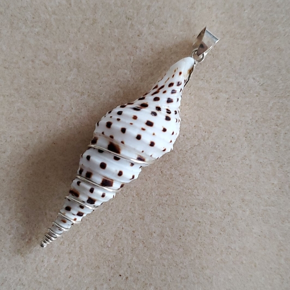 Jewelry | Real Seashell Sterling Pendant | Poshmark